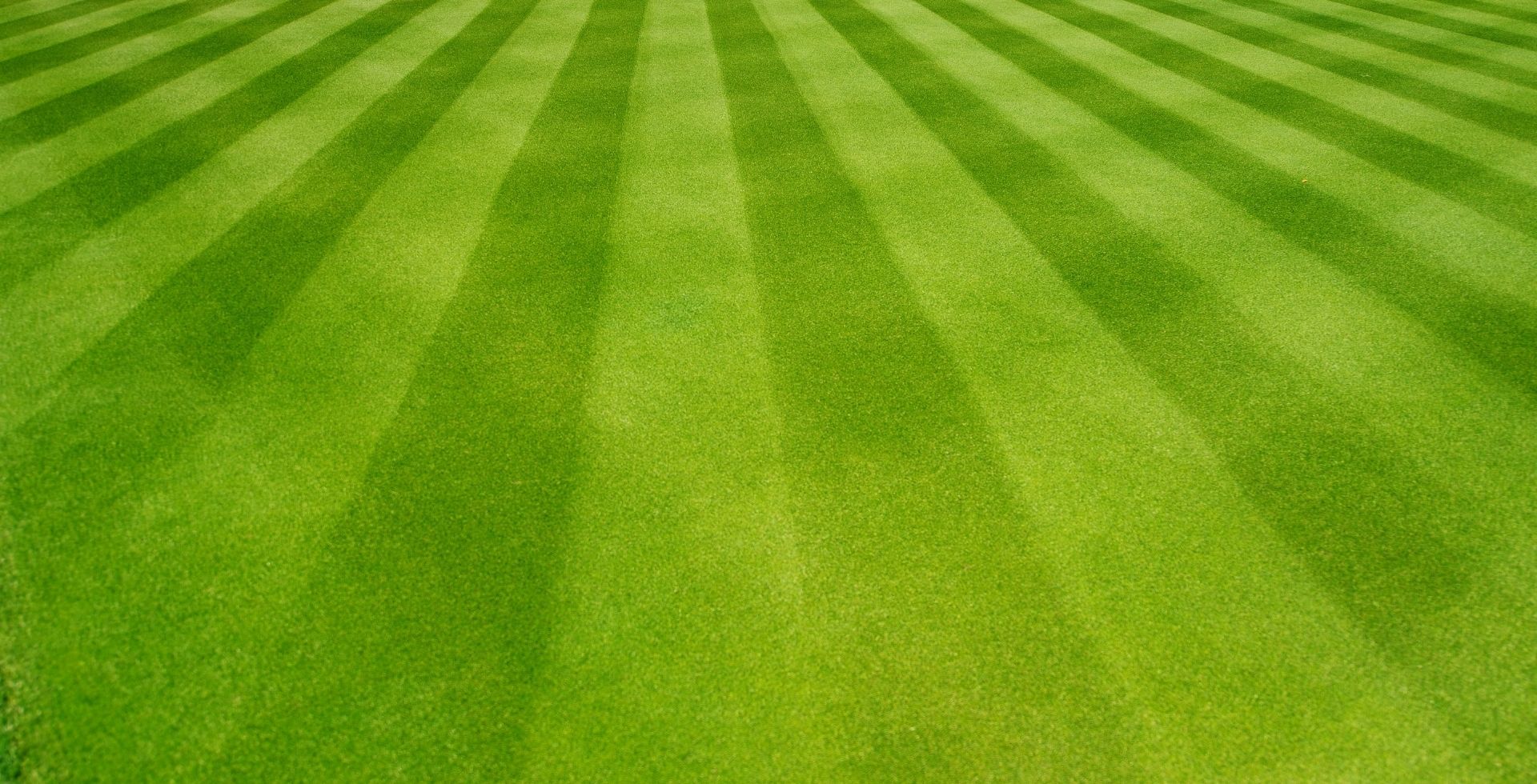 Greenworx Landscaping - Landscape Services for Homes & Businesses